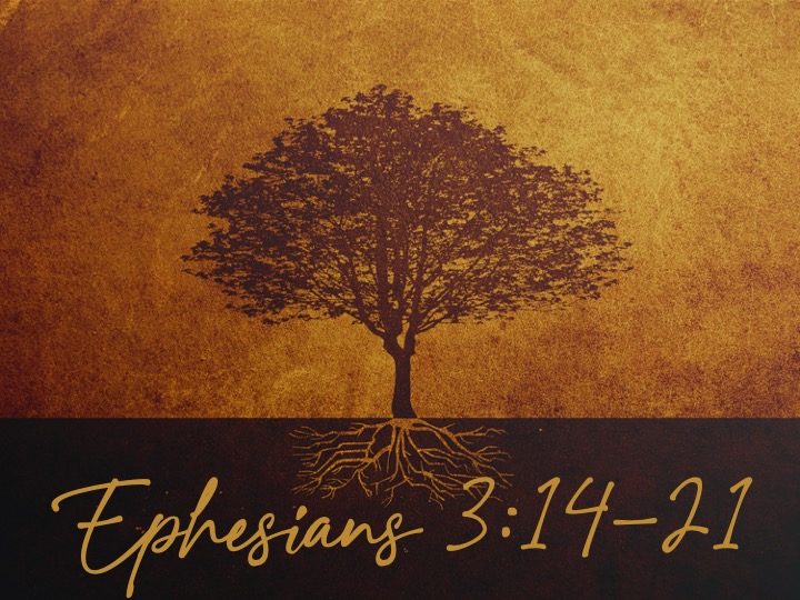 Rooted in Love (Ephesians 3:14-21) - Waverly Church of the Nazarene